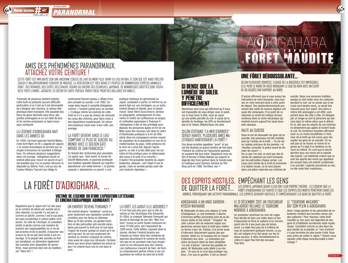 Aokigahara, La Forêt Mystique du Japon - Exploration Paranormale ...